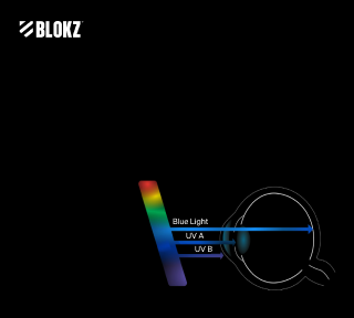 Blue Light Glasses: Block Harmful Light & Reduce Eye Strain | Zenni Optical