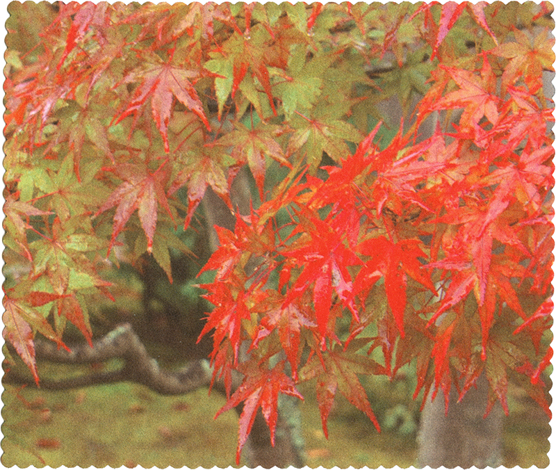 Pattern Lens Cleaning Cloth #A60111218 | Zenni Optical