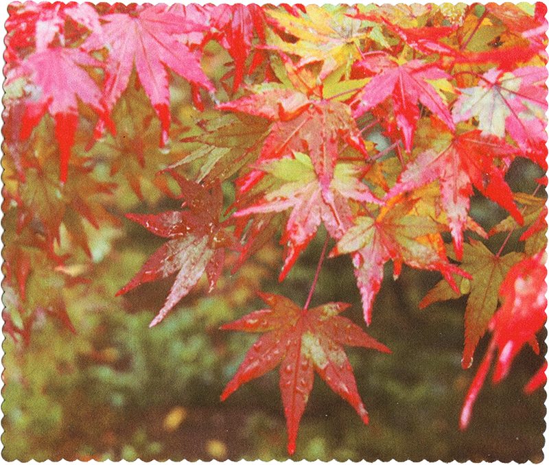 Pattern Lens Cleaning Cloth #A60113018 | Zenni Optical